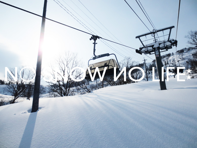 2020/12 | NO SNOW NO LIFE
