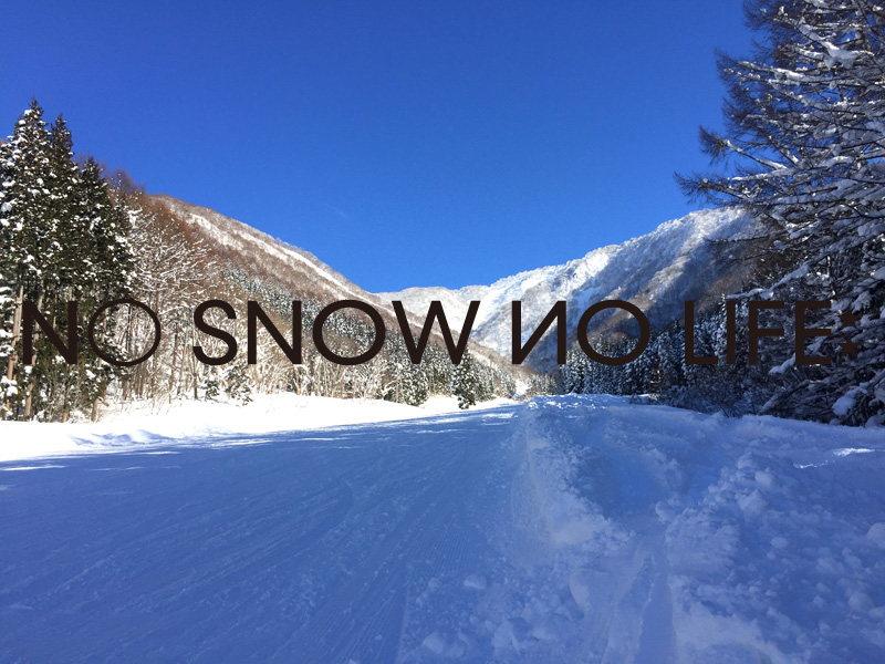 2021/11 | NO SNOW NO LIFE