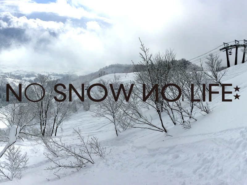 パイプ | NO SNOW NO LIFE