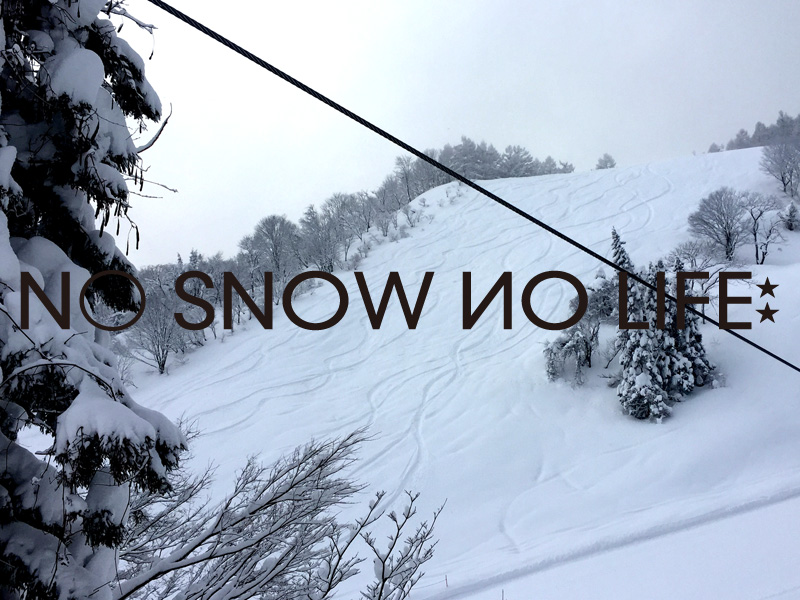 奥美濃 3ページ目 | NO SNOW NO LIFE